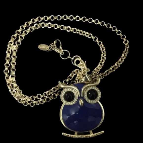 Amrita Singh | Jewelry | Amrita Singh Miami Owl Pendant Necklace | Poshmark